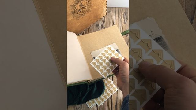 ФОТОАЛЬБОМ С ОКРАШЕННОЙ НАТУРАЛЬНОЙ КОЖЕЙ + КЕЙС И ЧЕХОЛ ДЛЯ ХРАНЕНИЯ