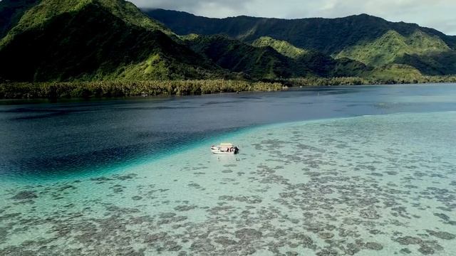 3130967-uhd_2560_1440_24fps