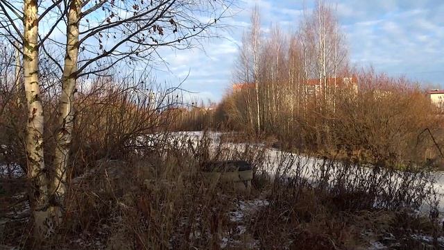 На прогулке в ноябре.