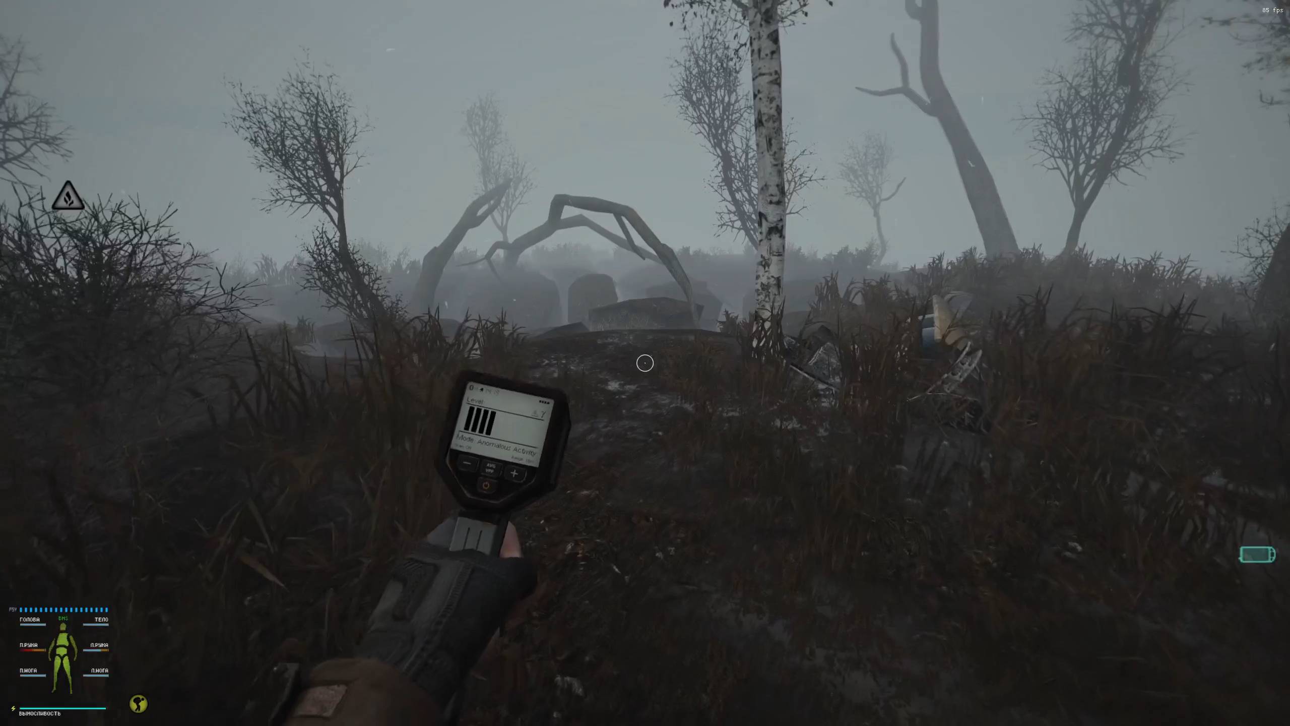 STALKER Anomaly 1.5.3. WM - мини обзор от 05.11.24