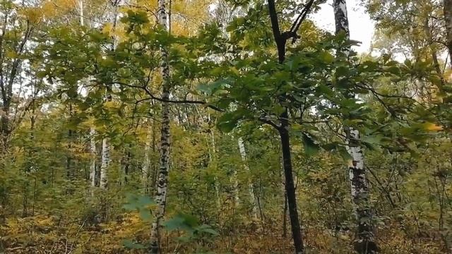 Это было в сентябре!