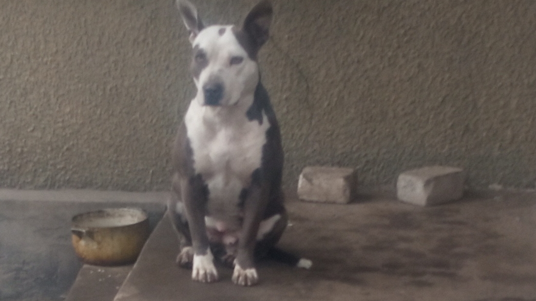 стафф или как там👉