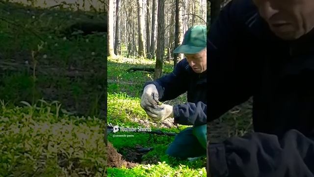 Желтая МОНЕТА!