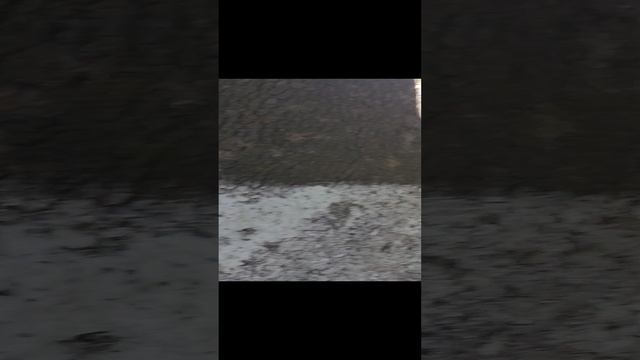 Памятник Алишеру Навои в Ташкенте