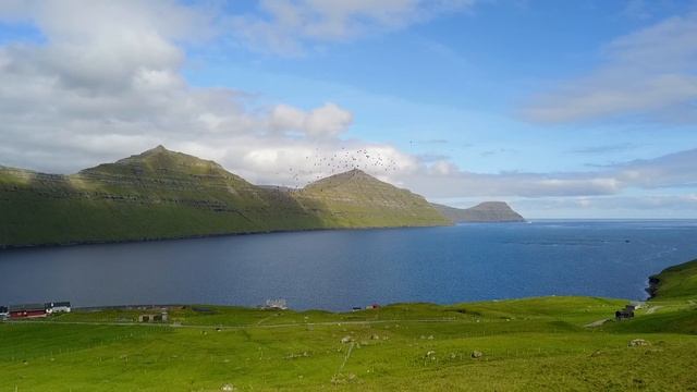 3065087-hd_1920_1080_24fps