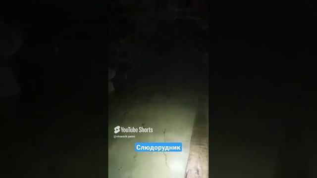 Затопленные рудники Урала. Слюдорудник. #shorts