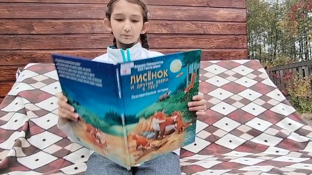 О книге "Лисёнок и другие звери в лесу" Райхенштеттера Фридеруна