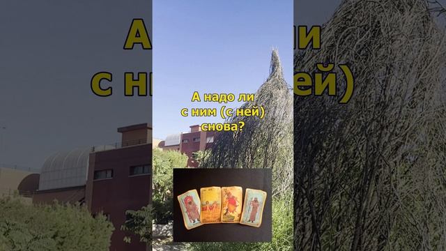 Начинать ли отношения заново?