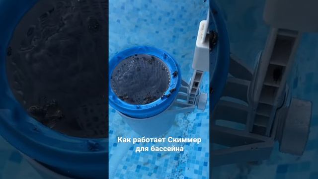 Как работает скиммер для бассейна.