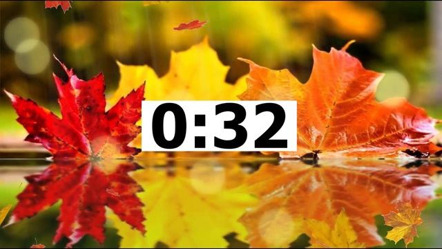 TECHNOLOGY IN THE CLASSROOM