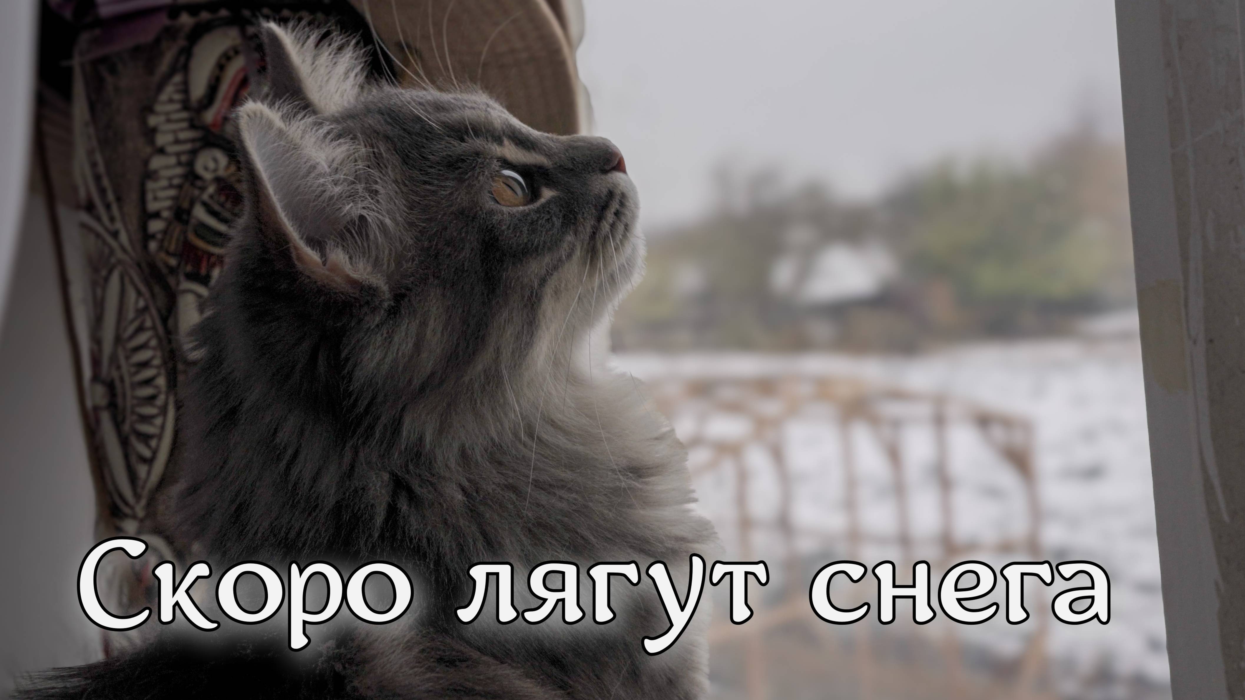 Скоро лягут снега