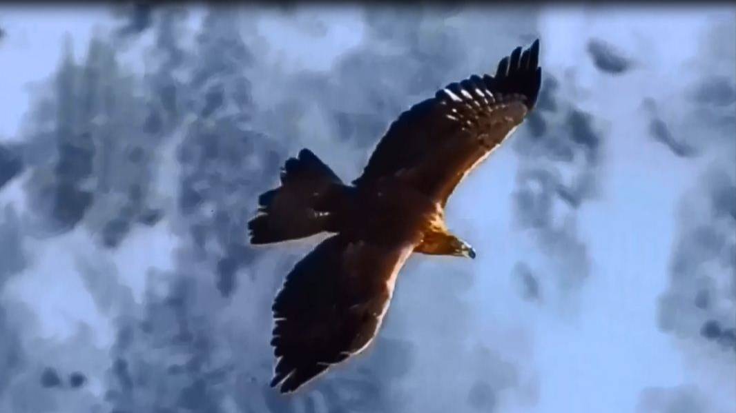 "Квантование жизни" Степан Дуплий (читает Ольга Ахметова)