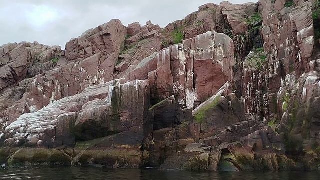 Морские прогулки - Птичий базар и водопад.