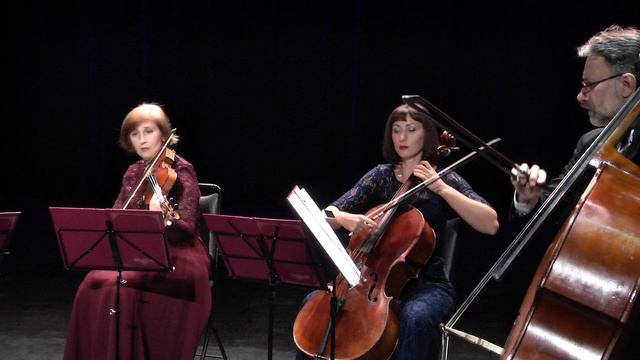 Ансамбль камерной музыки «Барокко»_Andante cantabile. П.И. Чайковский