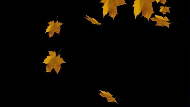 Осенний футаж. Листопад.