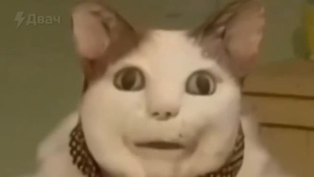 Бу Испугался? Не бойся, я тебя не обижу (Версия с цензурой)