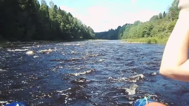 Ничто не предвещало беды