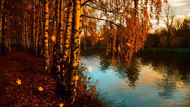 Осенний футаж. Озеро, березки