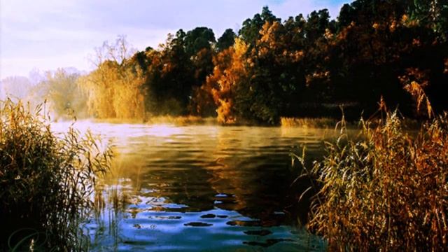 Осенний футаж. Природа.