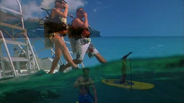 854387-hd_1280_720_24fps