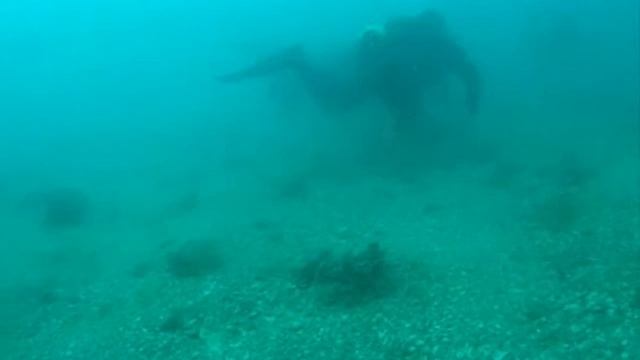 Казачка 25.05.2013