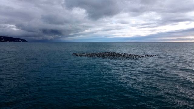 Ялта, декабрь 2021 г.