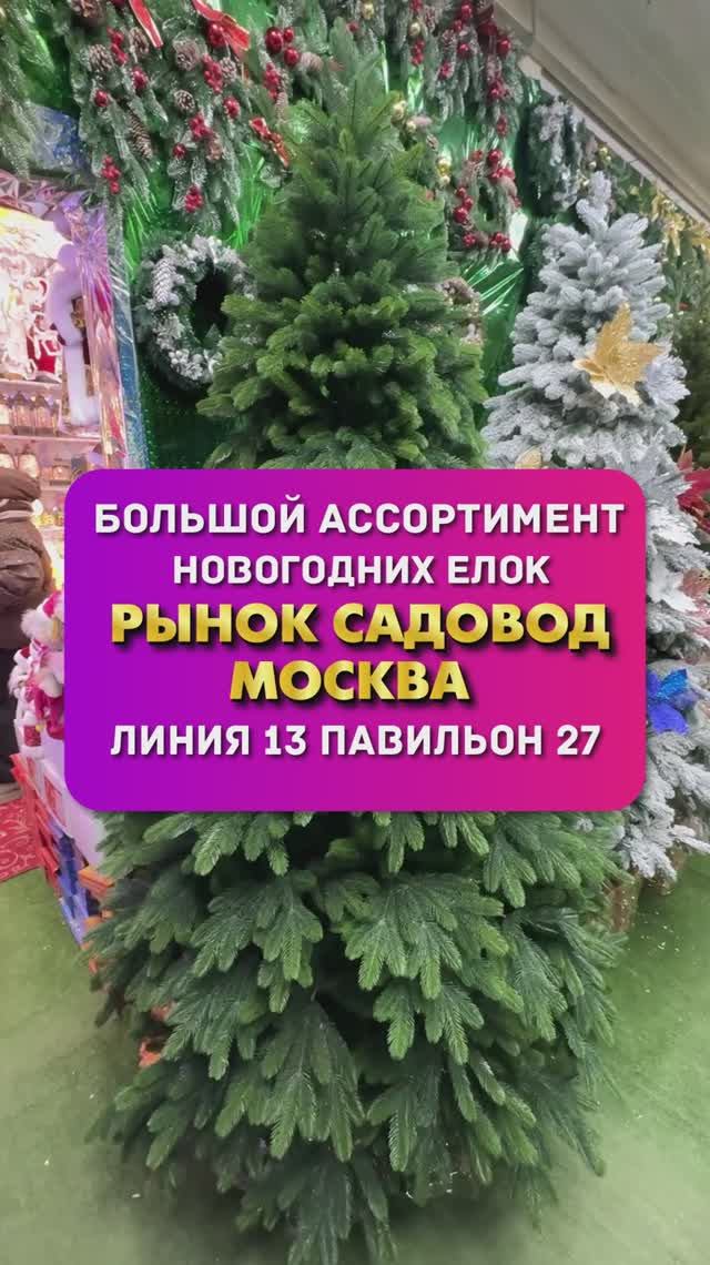 НОВОГОДНИЕ ЁЛКИ ЛИНИЯ 13 ПАВИЛЬОН 25,27