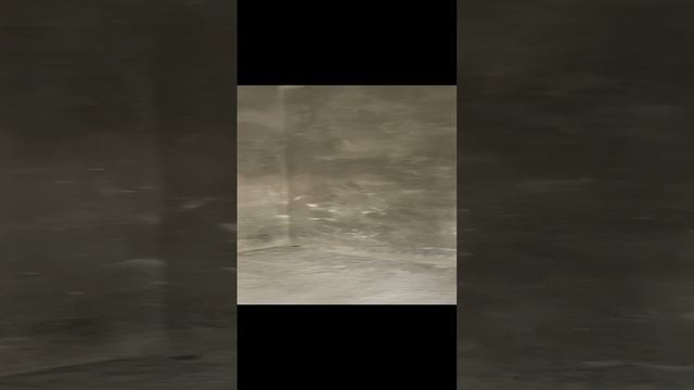 129