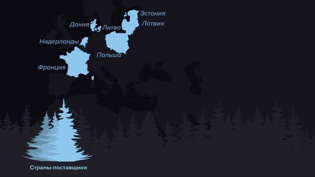 ТранзитЕлкиРФ