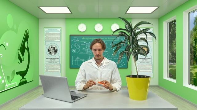 17 Исследование температуры почвы