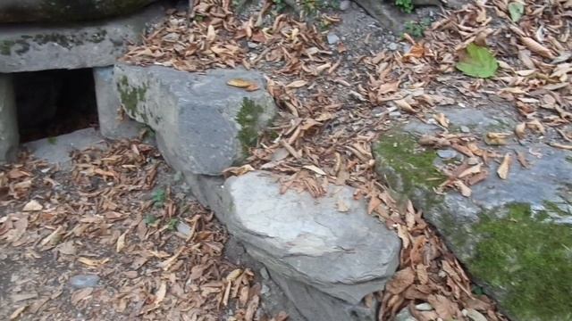 Дольмены в Адлерском районе 💕