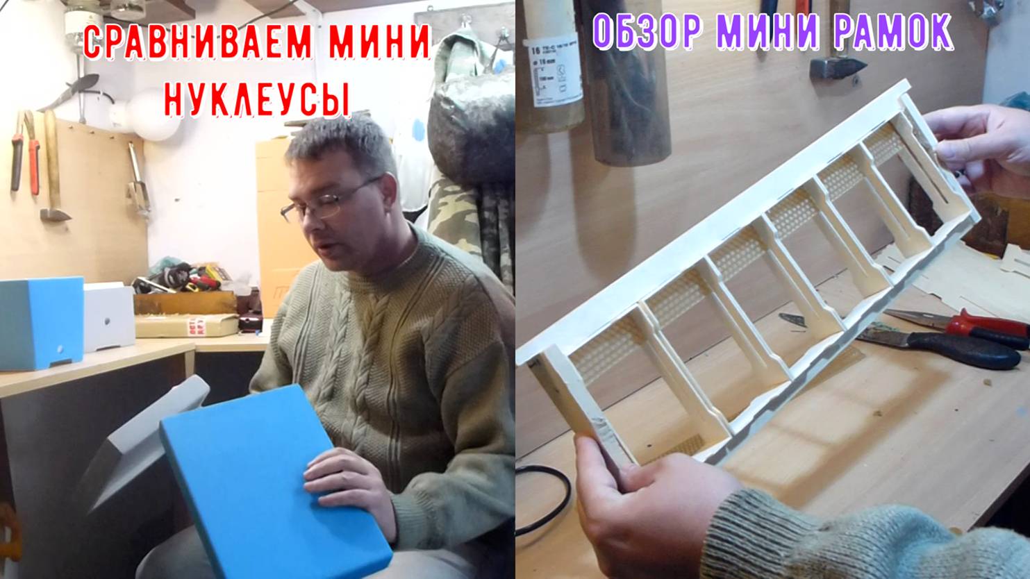 Сравниваем нуклеус Пеноулика и Лысонь.