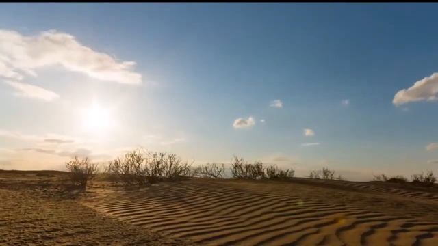 Симбионты Кутушова представляет автор   М В  Кутушов