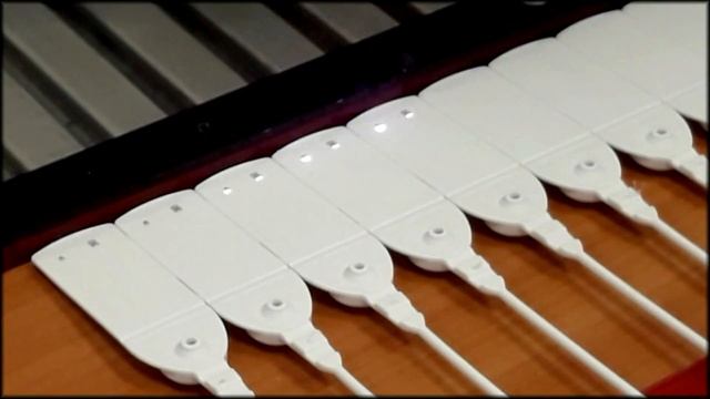 Маркировка пластиковых пломб, нанесение логотипа или дополнительной информации.