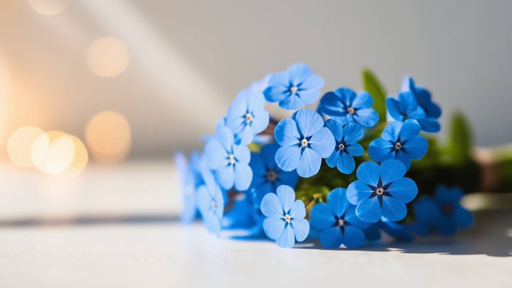 Удивительный язык цветов