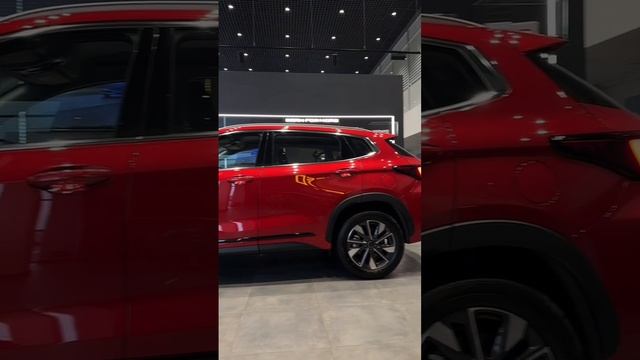 Для классифайдов EXEED LX красный