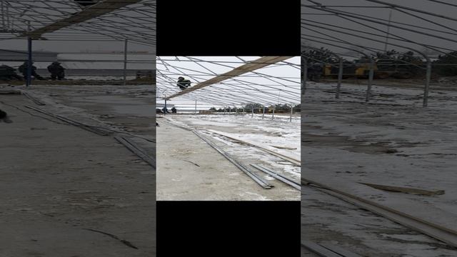 ✨ Новости из питомника растений!