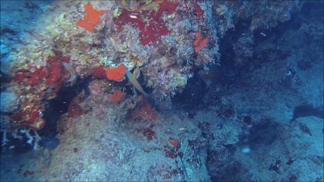 "Малый остров" (Small Island). Текирова-Кемер-Турция. Октябрь, 2023 г.