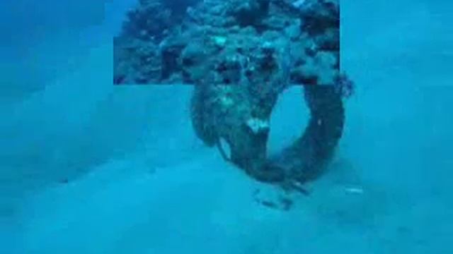 ЛайтХаус. 65 м.