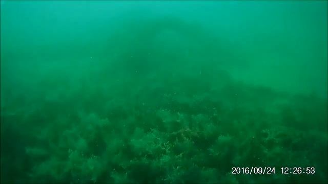 Останки парусного судна в "Казачей" бухте г. Севастополь.