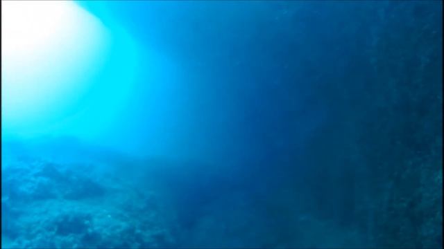 Погружение в районе Херсонеса. Севастополь, 02.05.2021 г.