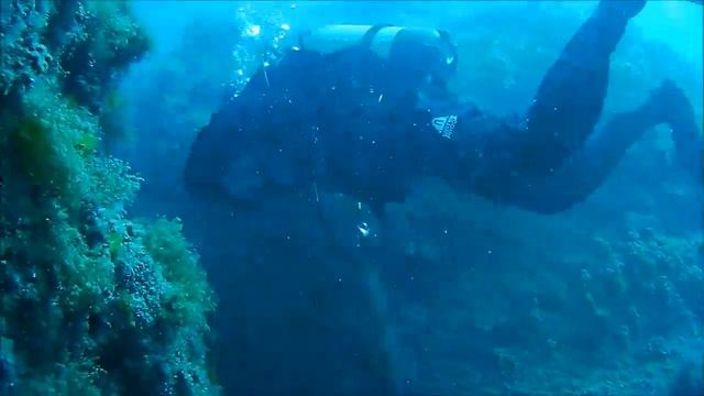 Окрестности транспорта "Борис", сентябрь 2016 г.