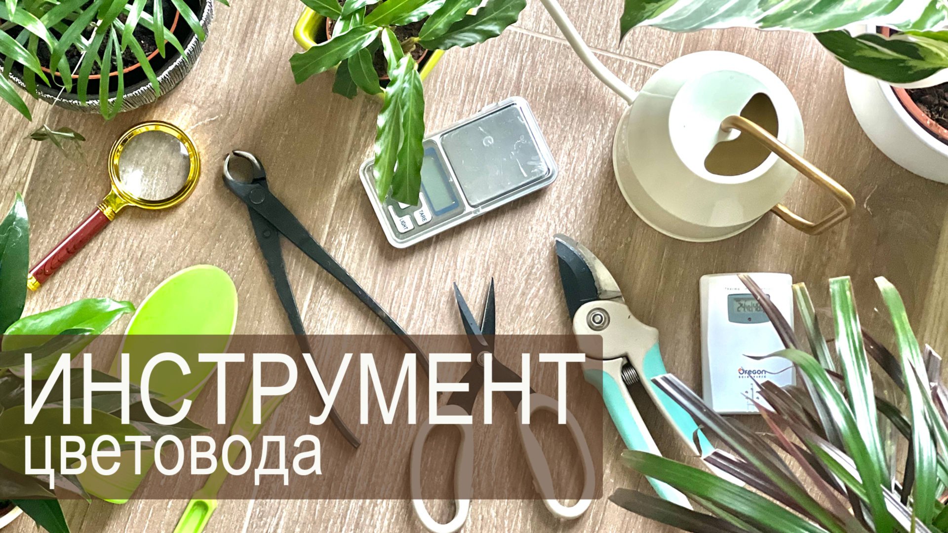 №33. Уход за комнатными растениями. Инструменты и принадлежности цветовода.