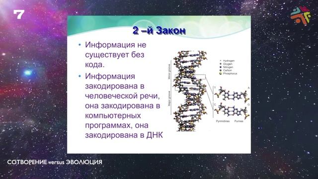 Сотворение или эволюция ч.7
