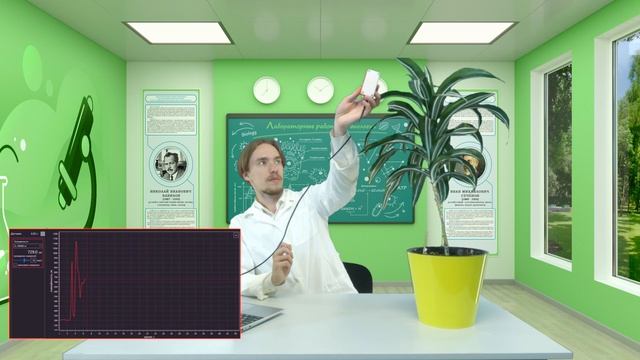 11 Исследование освещенности на разных ярусах комнатного растения