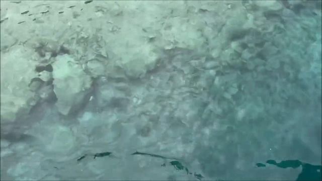 Морская прогулка к Ликийским древностям.