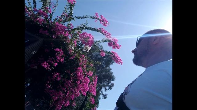 Территория и ресторан отеля Seven Seas Hotel Blue. Турция, Сиде, сентябрь 2021 г.