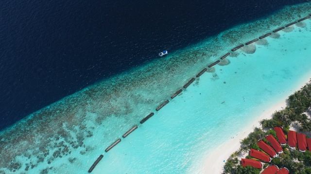 8356774-uhd_2560_1440_25fps