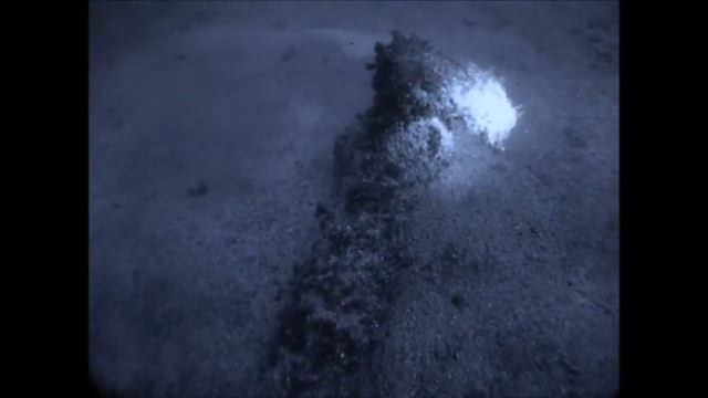 Якоря 28.02,2015