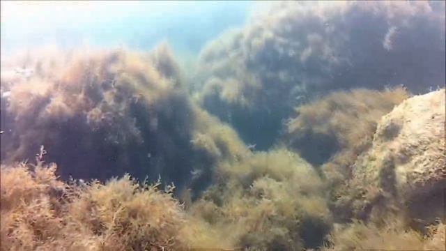 Орджоникидзе, июль 2017 г.